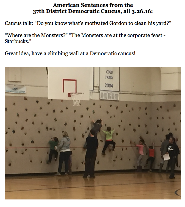 American Sentences from the 37th District Democratic Caucus - Paul E Nelson